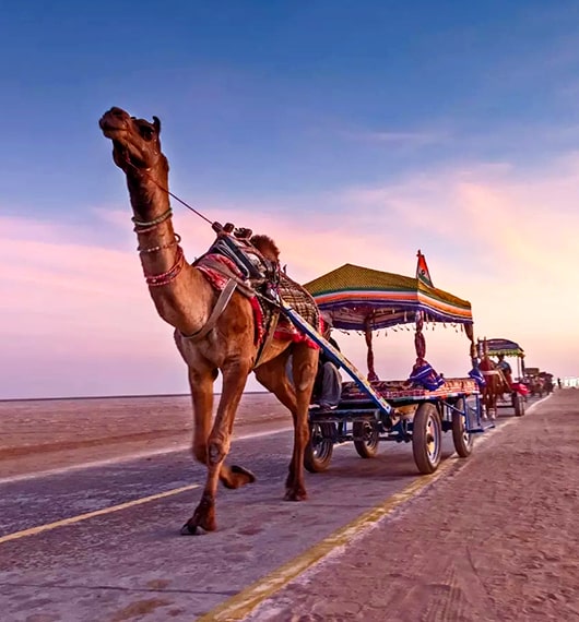 Tour Packages – Gopinath Tours & Travels